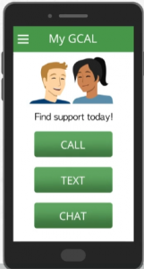 Georgia Department of Behavioral Health and Developmental Disabilities